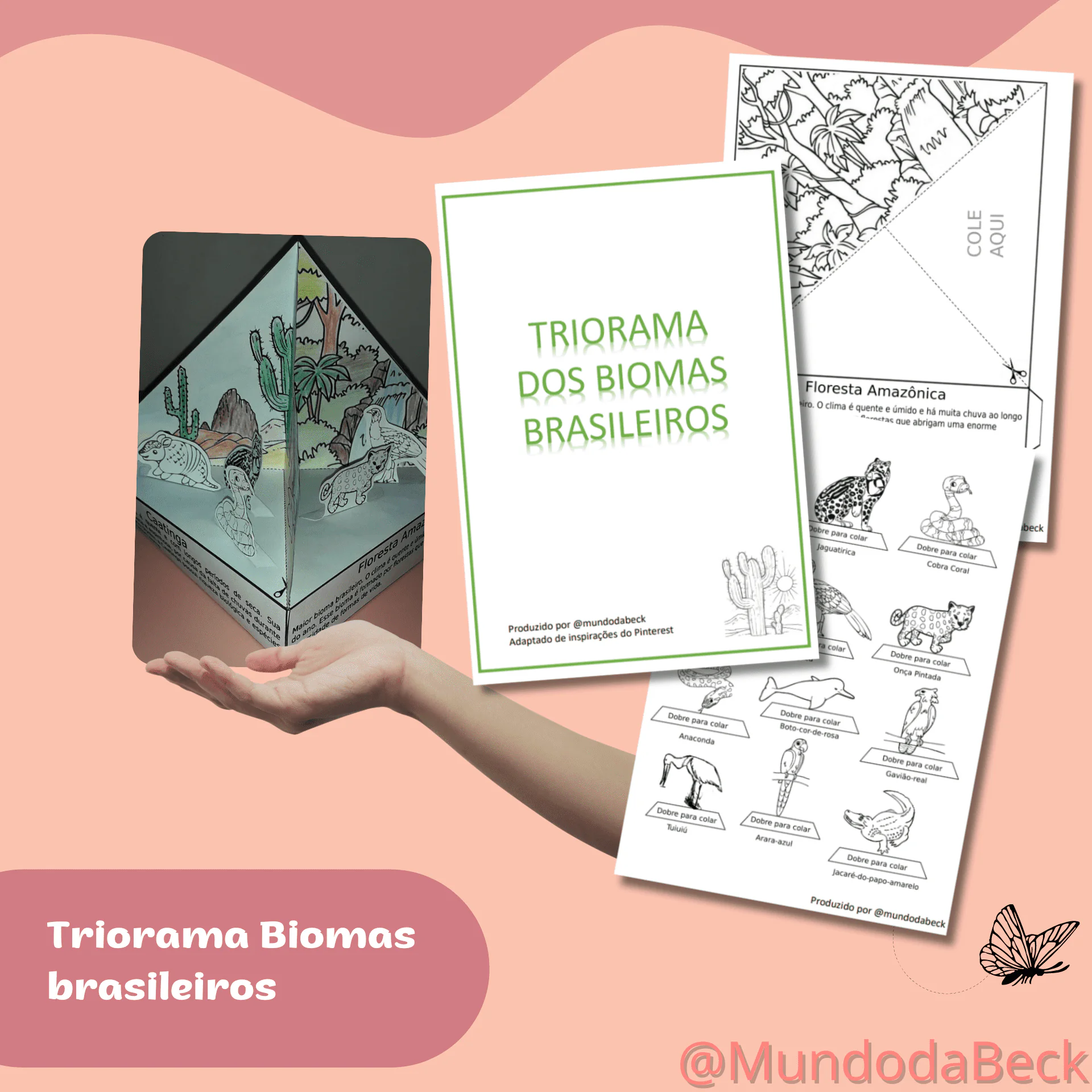 Triorama dos Biomas | Tá Pronto