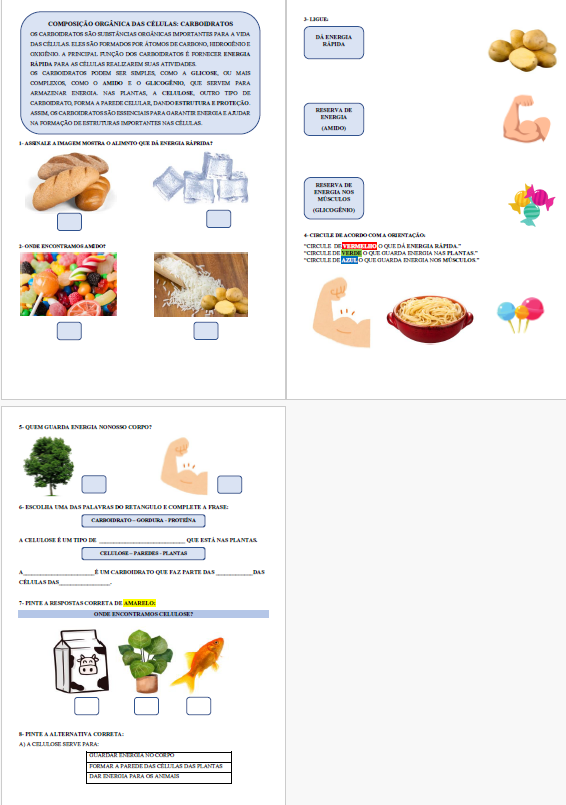 Atividades adaptadas sobre proteínas, carboid... | Tá Pronto
